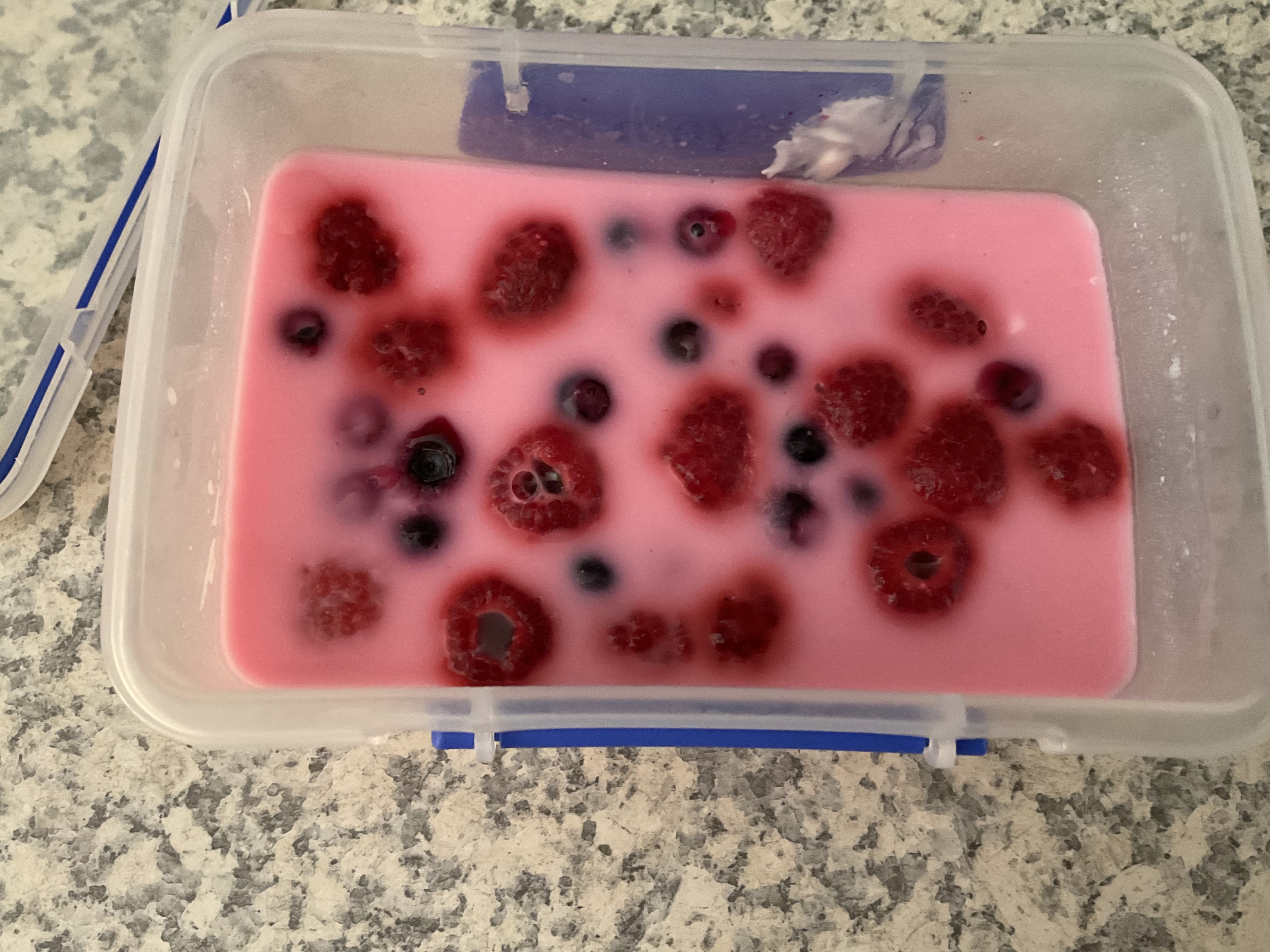 Yoghurt Jelly | bunch