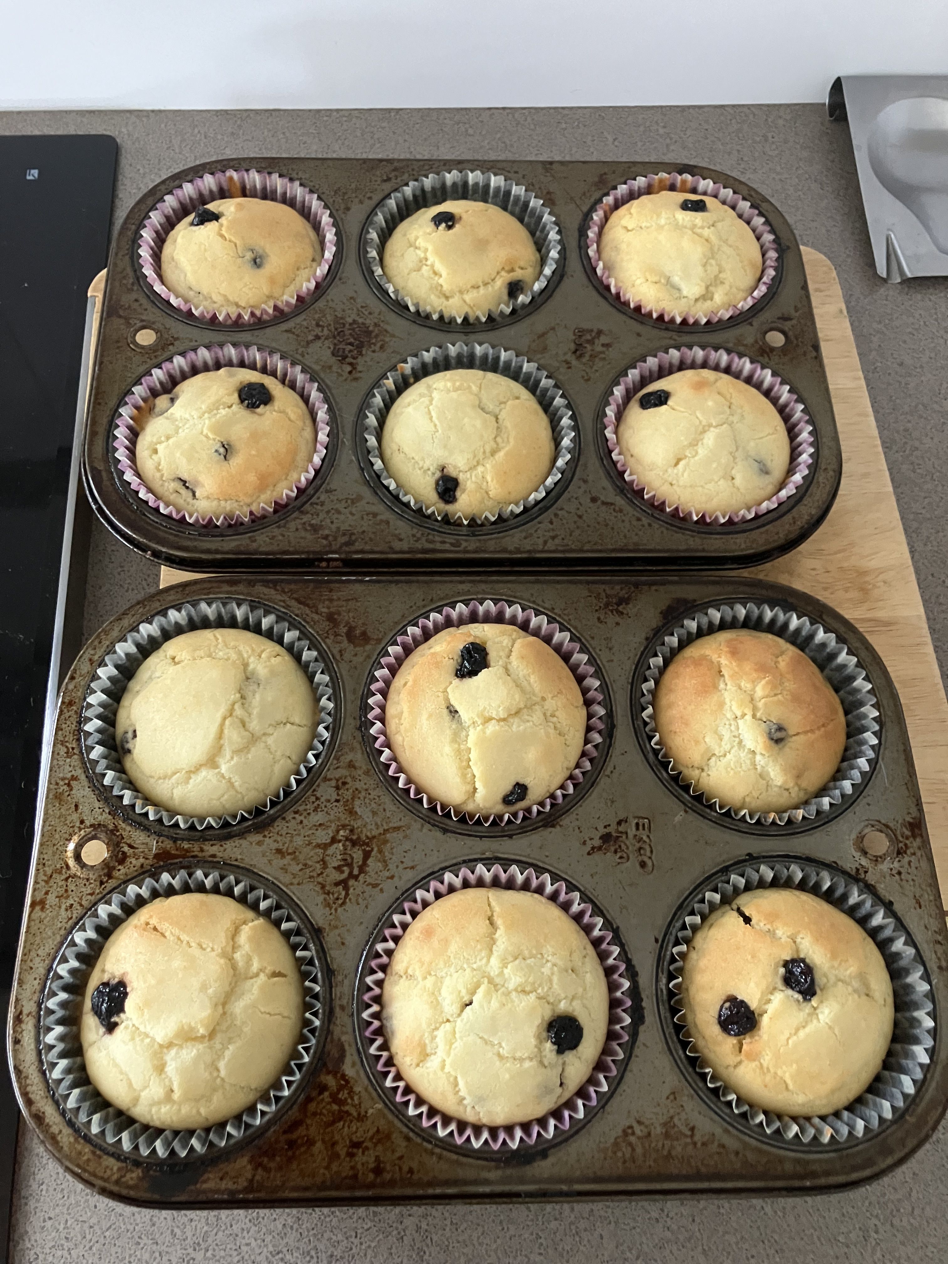 Dried Blueberry Muffins | bunch