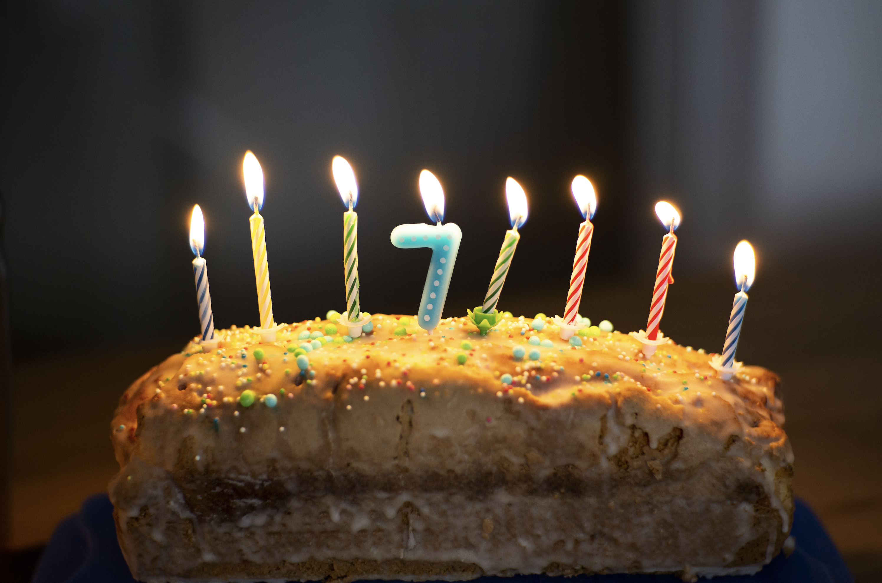 7 years together | what it means to be a bunchee | bunch