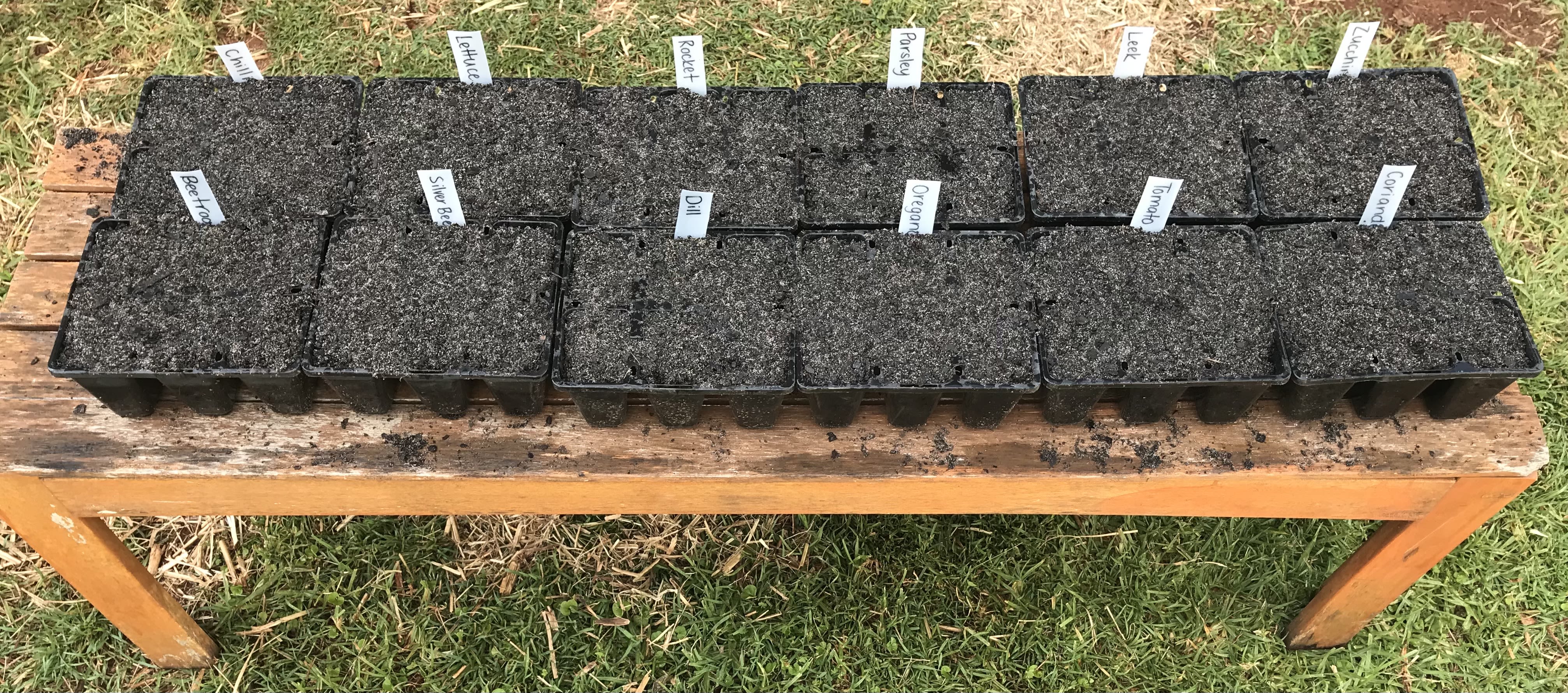 Garden recycling project: $0 garden recycled tags | bunch