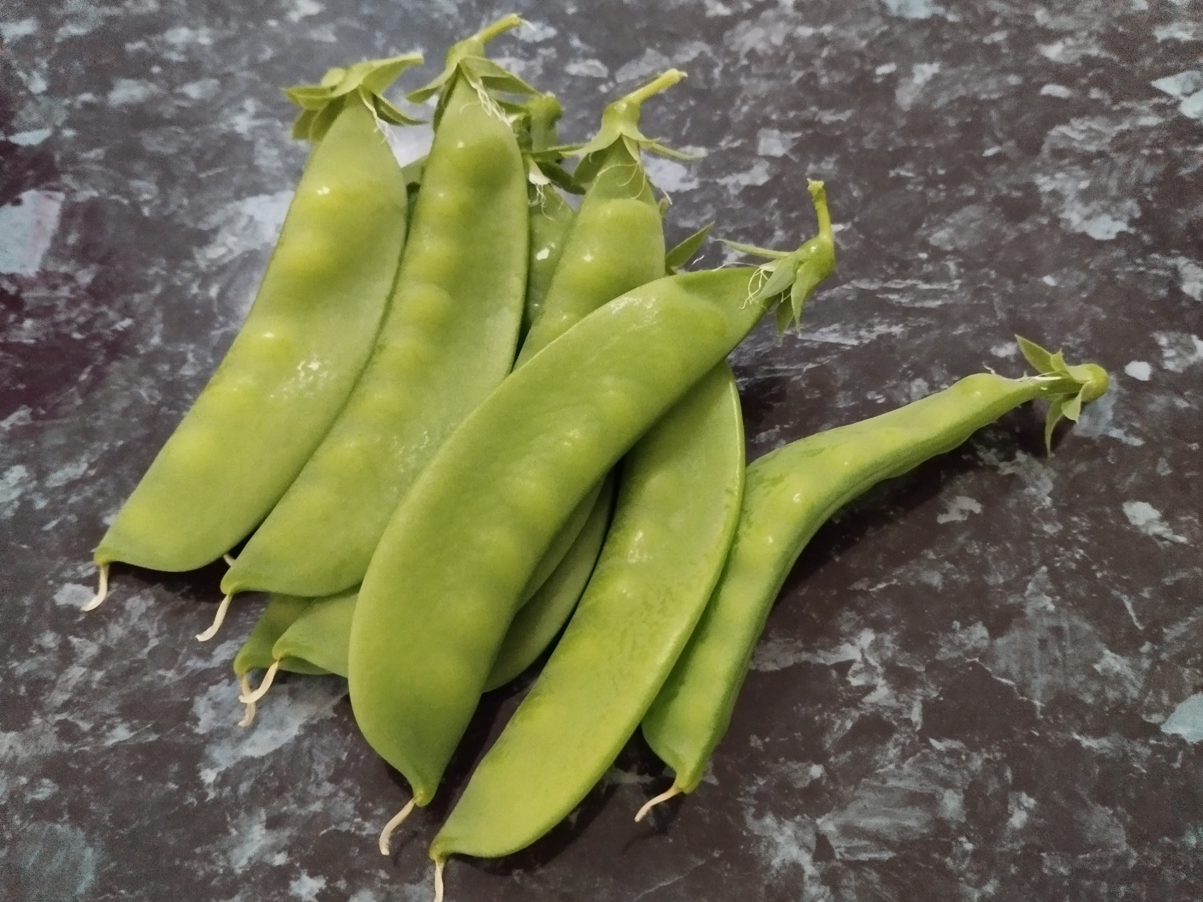 Growing Snow Peas - easy as 1, 2, 3! | bunch