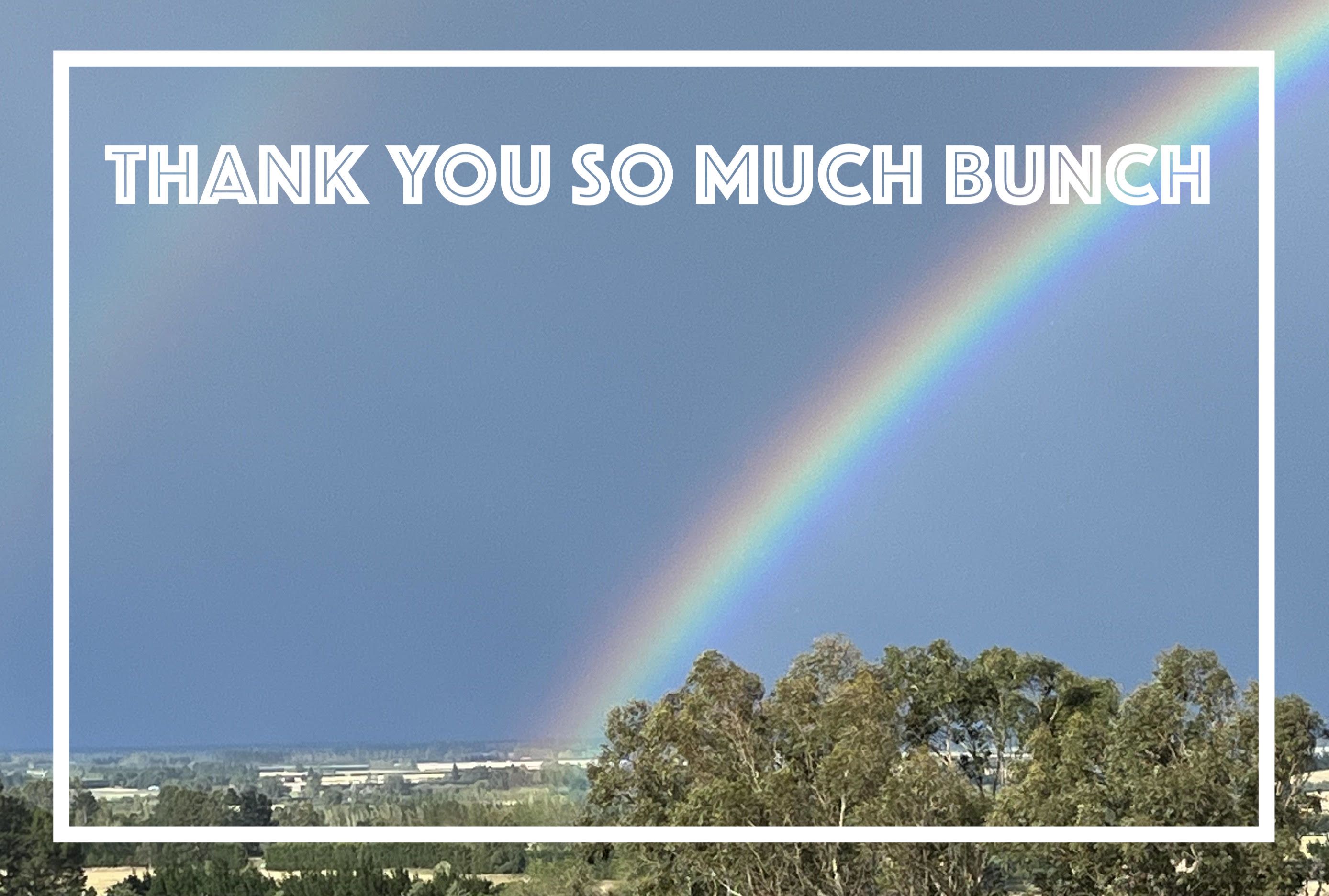 4 wonderful bunch years | bunch