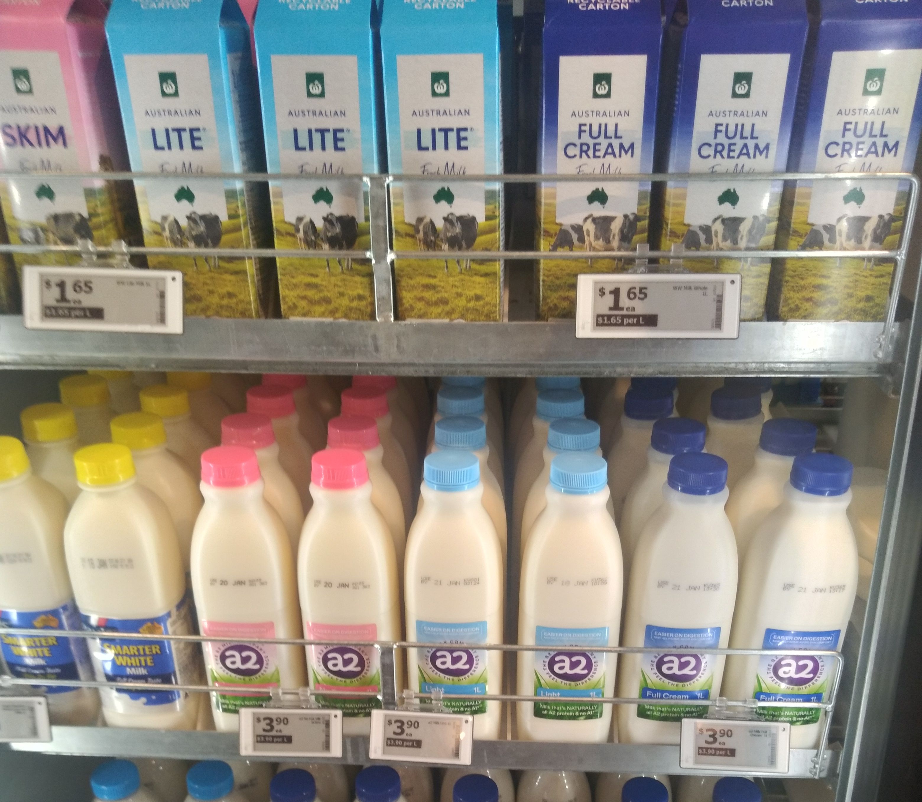 Different Varieties of Milk | bunch