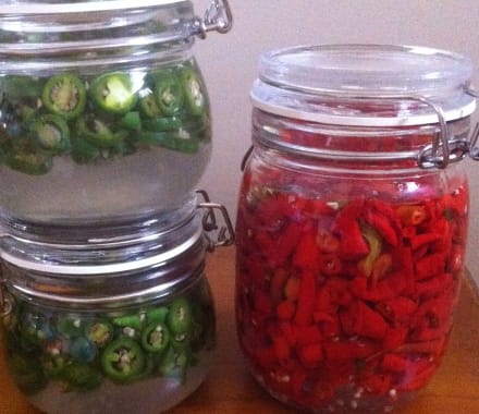 Pickled Chillies | bunch