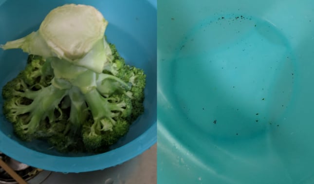 ??How to wash broccoli?? | bunch