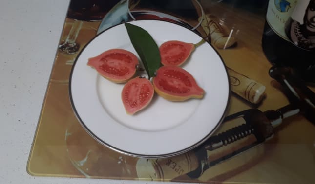 Guava Fruit! | bunch