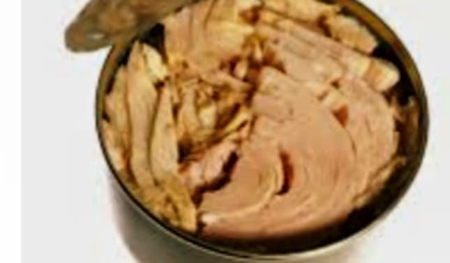 Navigating Tuna - what is FAD FREE? | bunch