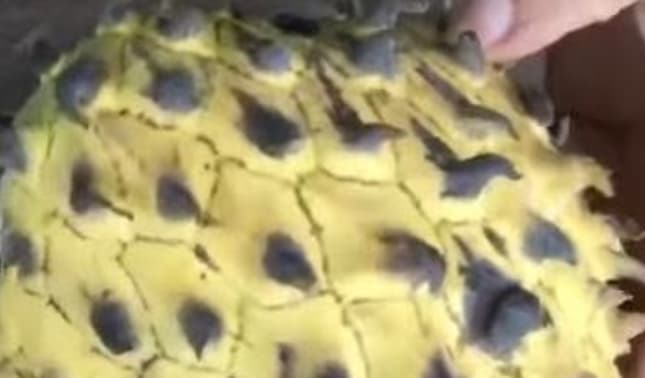 Lemon Meringue Fruit | bunch