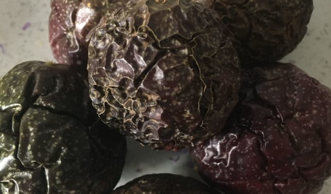 How to use your Passionfruit Sample | bunch