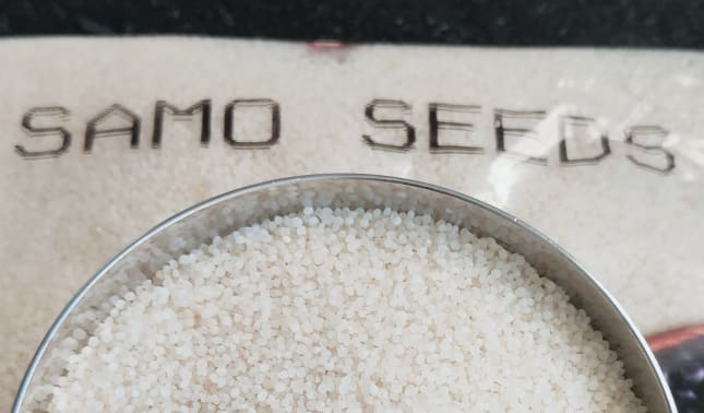 Samo seeds | bunch