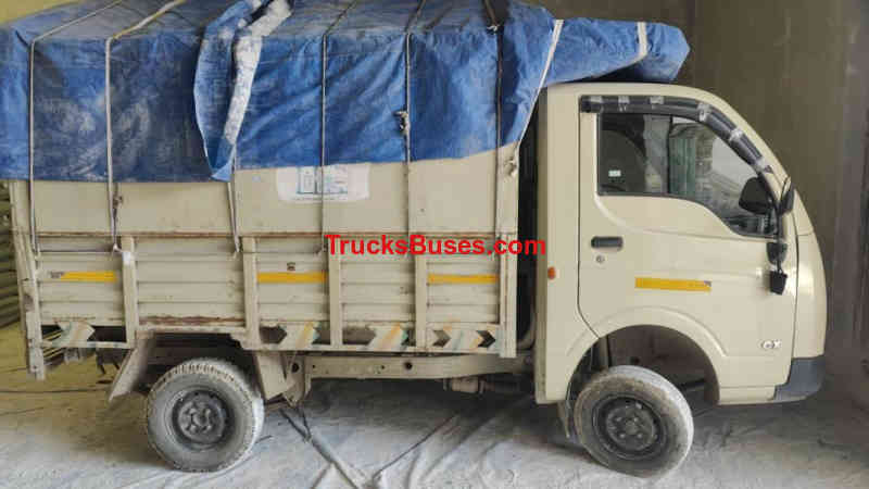 Used Tata Ace for sale in Haryana TBS-20-441291 | TrucksBuses.com