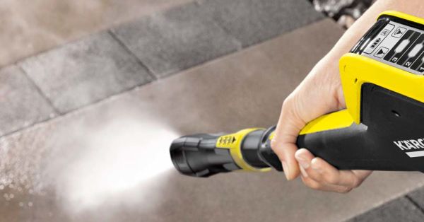 Hvordan fjerner man flisepest? Se 4 tips her - LavprisVVS