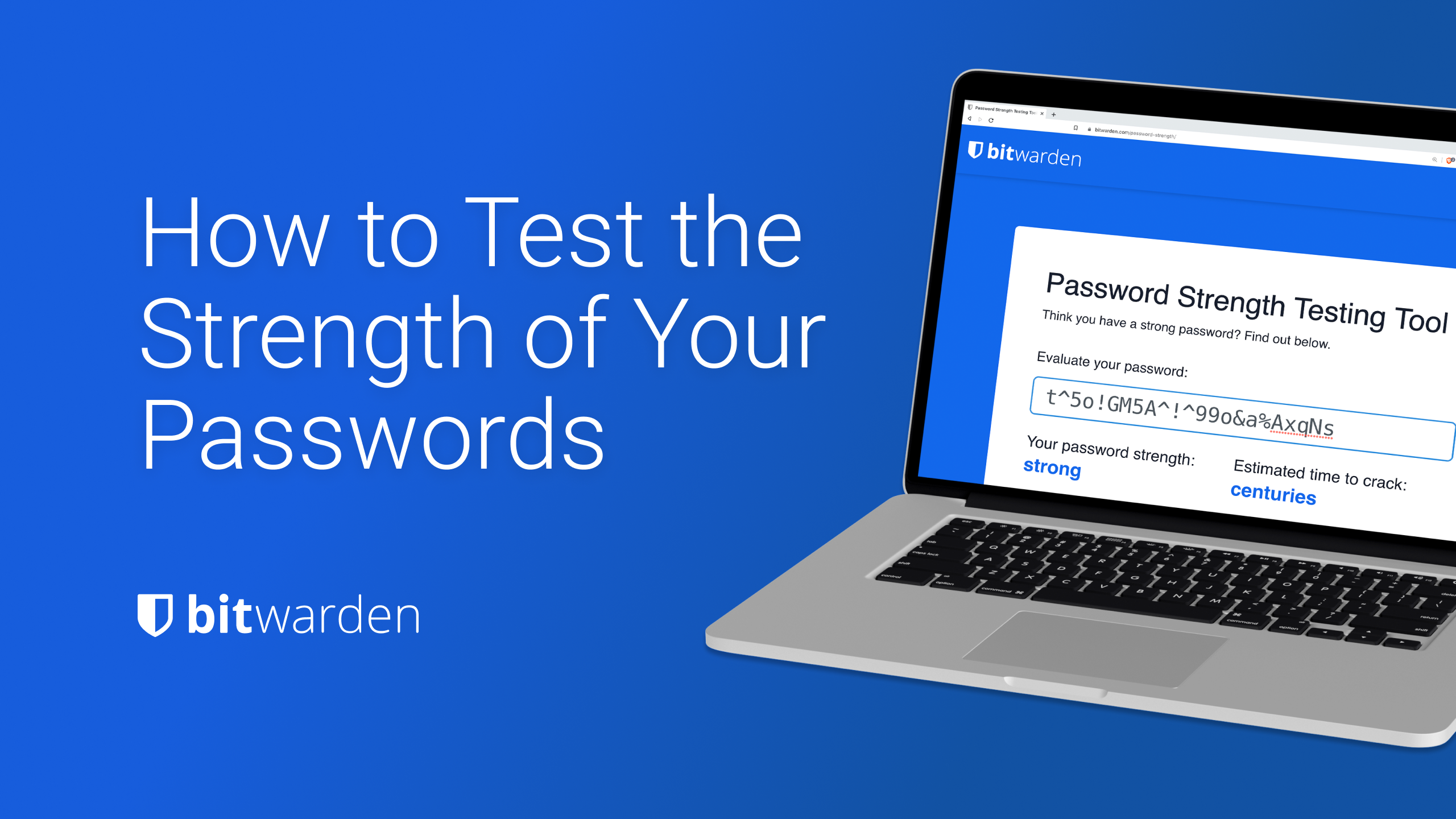 How to Test the Strength of Your Passwords in 2022 | Bitwarden Blog