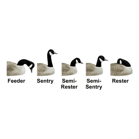Goose Decoy Brands Sentry Head Decoys - Pack Of 12 Realistic Goose ...