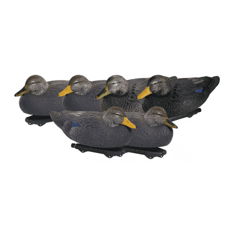 Northern Flight™ Black Duck Decoys | Cabela's Canada