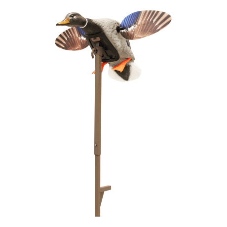 MOJO® Outdoors Elite Series™ Mini Mallard Drake Motorized Duck Decoy ...