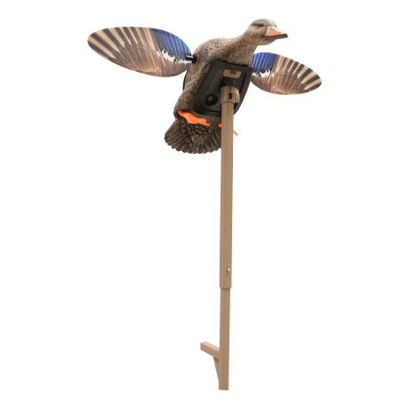 MOJO® Outdoors Elite Series™ Mini Mallard Hen Motorized Duck Decoy ...