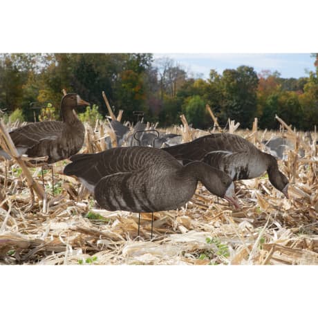 Higdon FLATS Specklebelly Goose Standard Silhouette 12 Pack | Cabela's ...