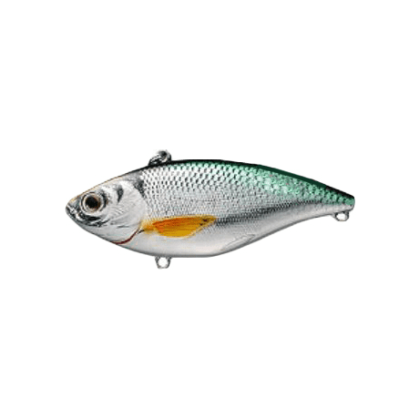 LIVETARGET® Golden Shiner Lipless Rattlebait | Cabela's Canada