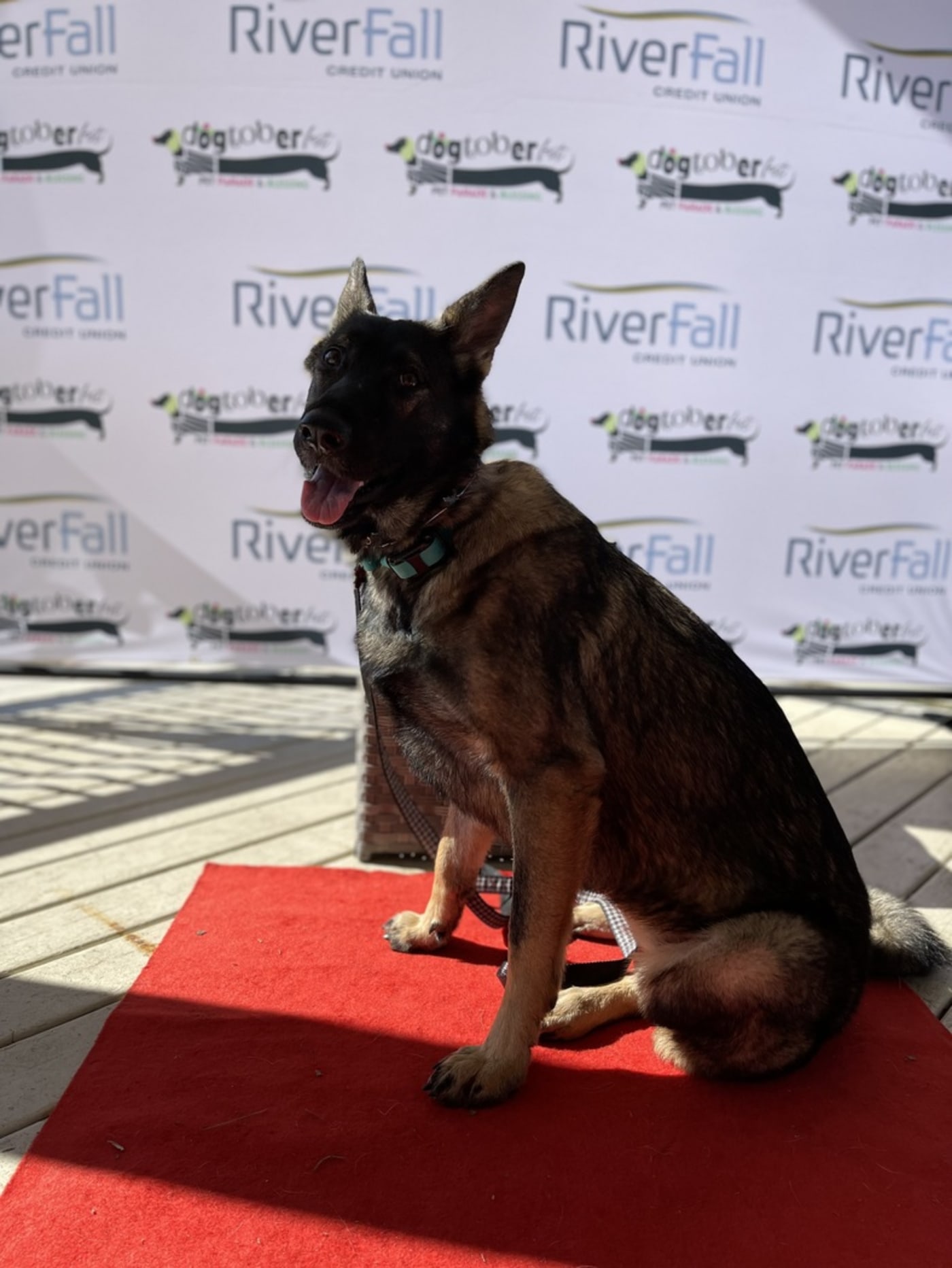 Dogtoberfest | United Way of West Alabama