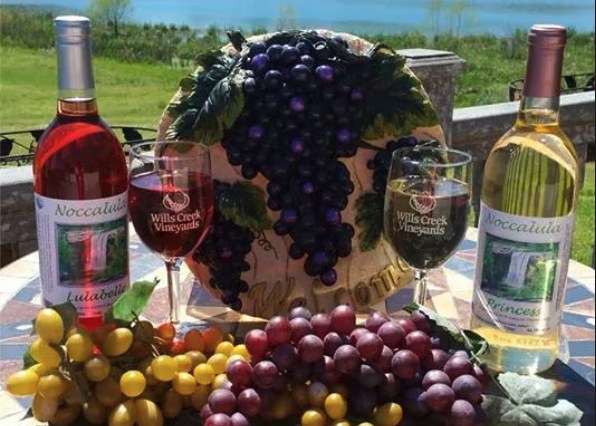 Sweet Grown Alabama Wine Trail