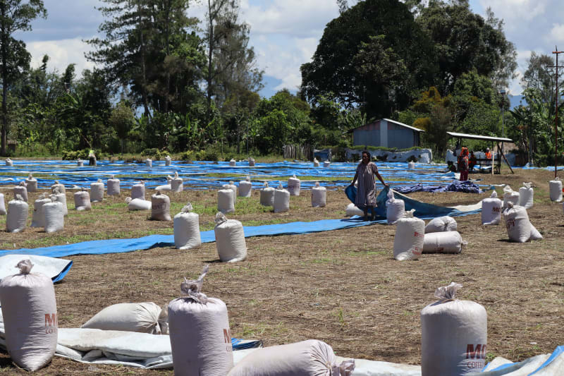 Papua New Guinea – Community Select – Kindeng Mill – Natural – La Bodega