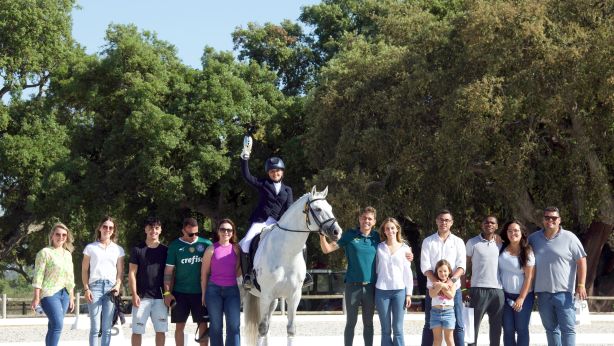 Horse Team | Invest in Purebred Lusitano Horses with Olympic Genetics