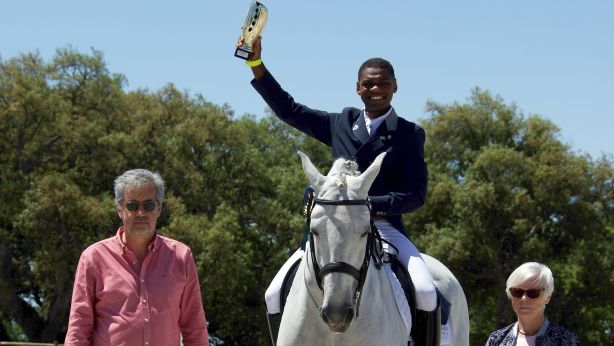 Horse Team | Invest in Purebred Lusitano Horses with Olympic Genetics