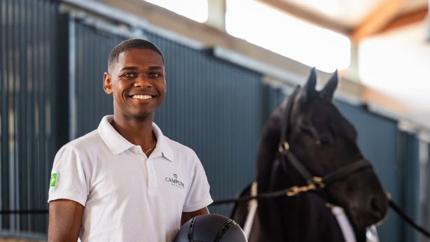 Horse Team | Invest in Purebred Lusitano Horses with Olympic Genetics