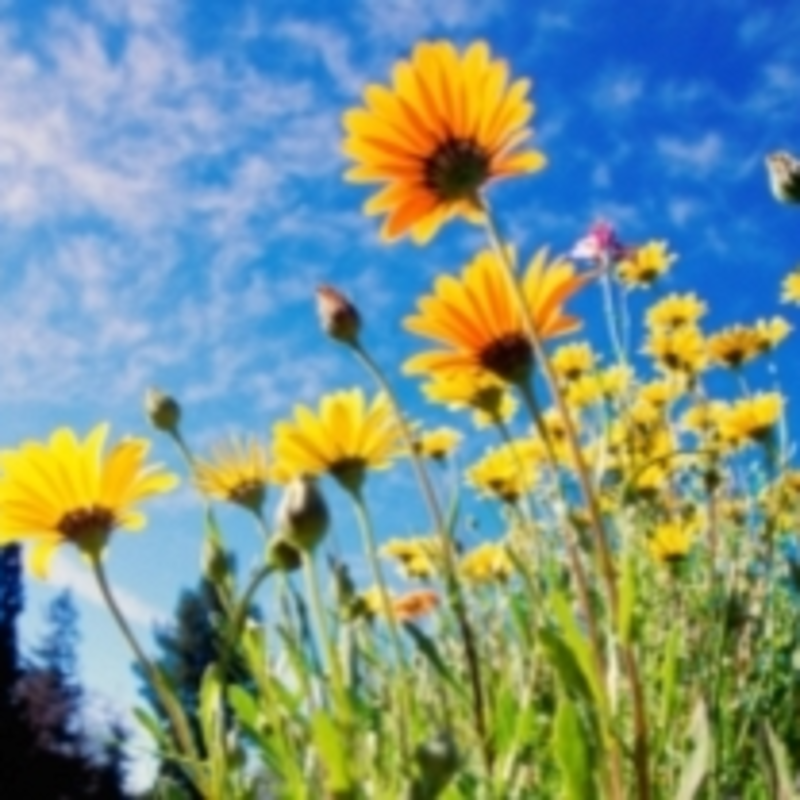 Ditt bidrag betyder ! | Cancerfonden