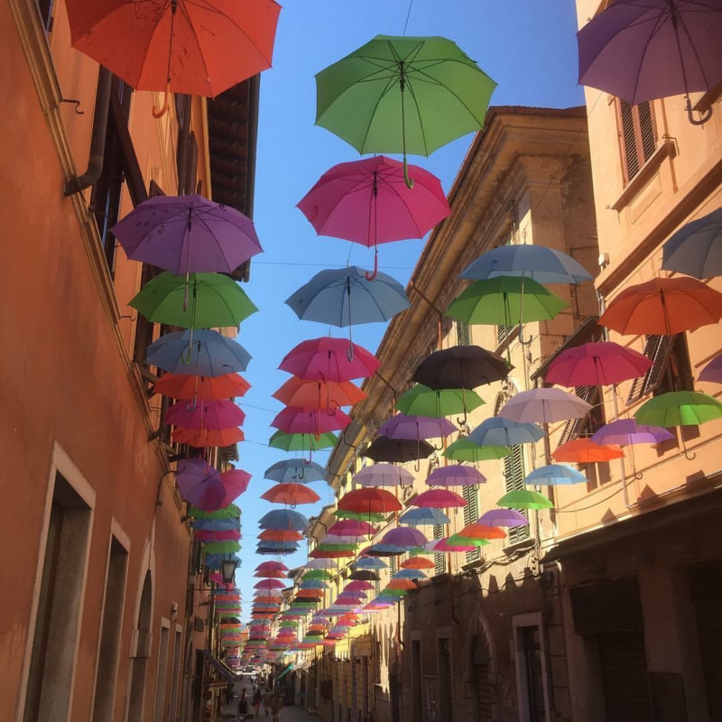 Anne-lies insamling till den viktiga forskningen framåt - tillsammans mot cancer | Cancerfonden