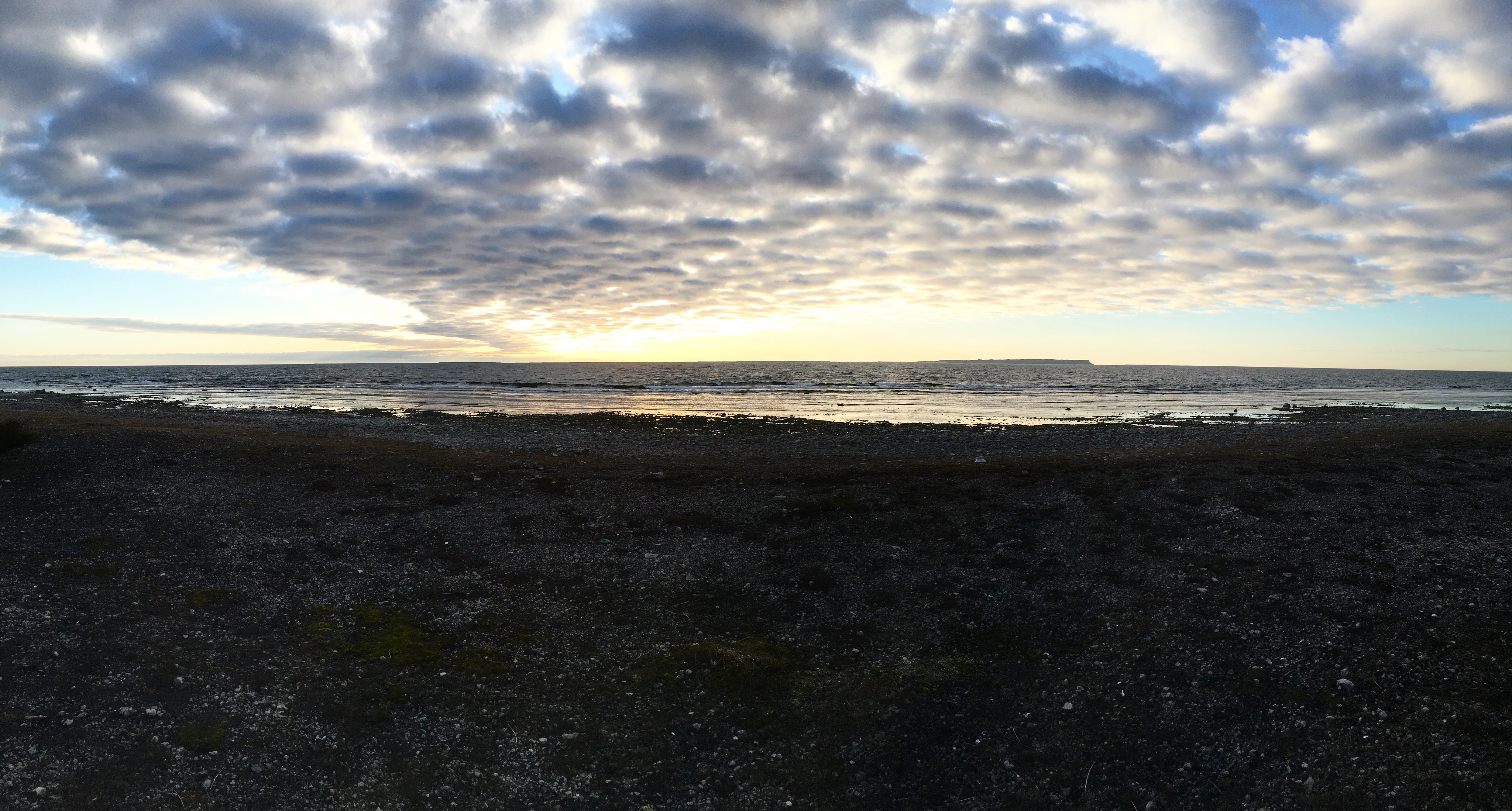 Stoppa cancern | Cancerfonden