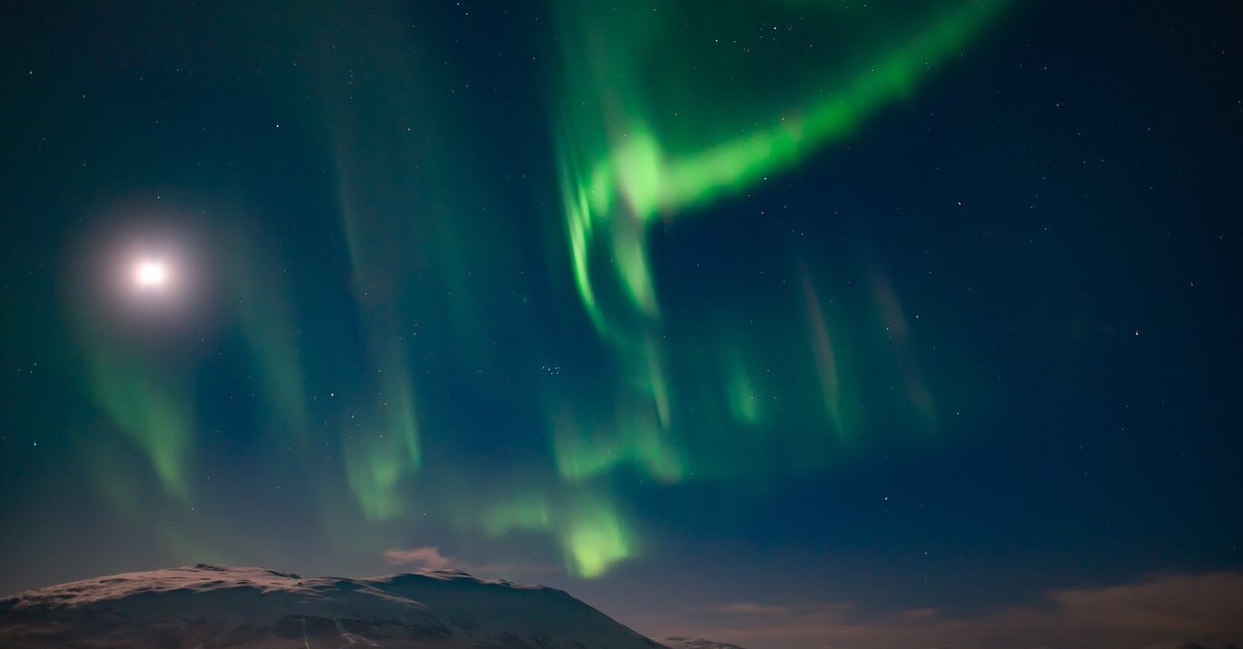 Alexander Reuter | Cancerfonden