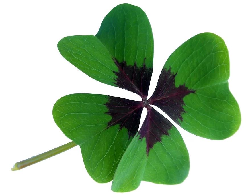 Barbro Larsson | Cancerfonden