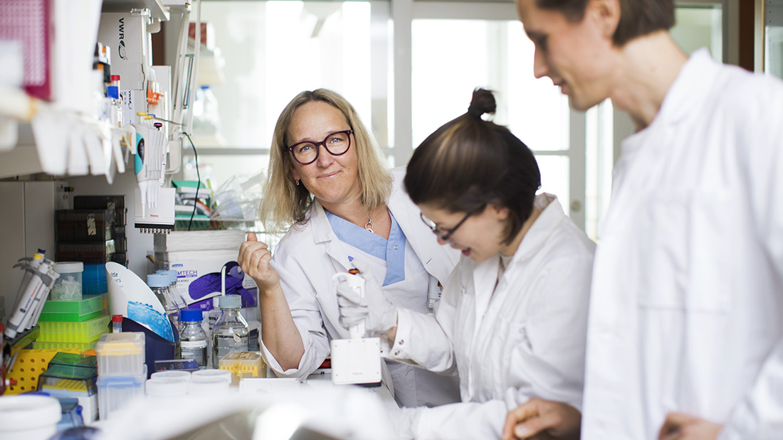 Malin Sund föreslås bli ny ordförande i forskningsnämnden | Cancerfonden