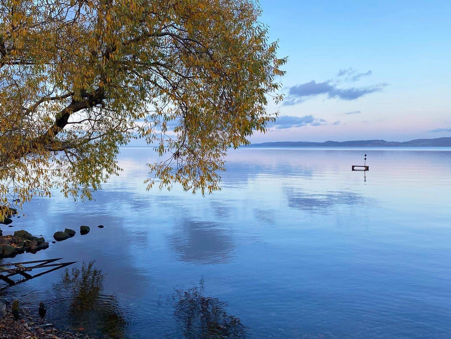 Marcus - min hjältebror ️ | Cancerfonden