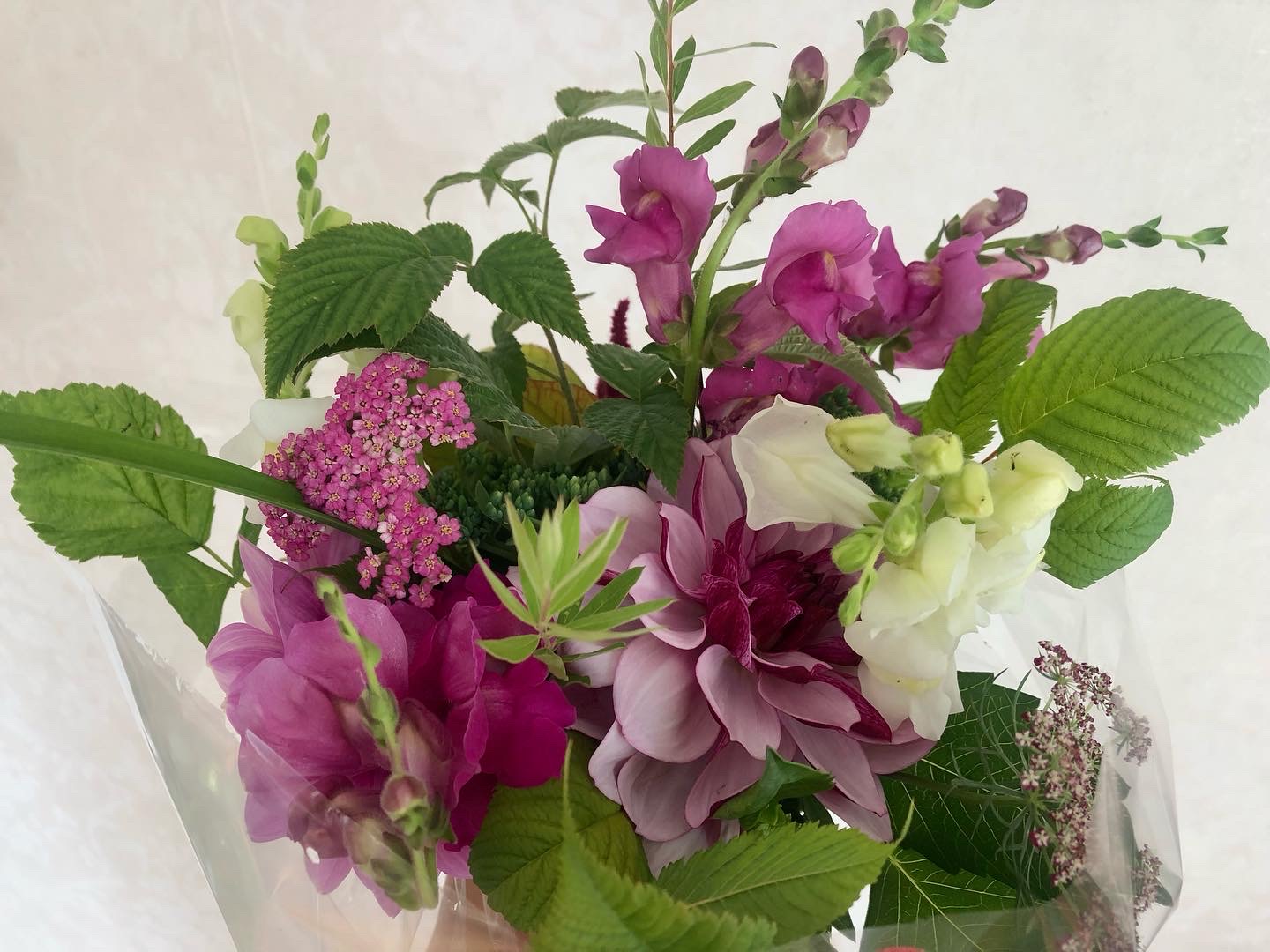 100% till Cancerfonden | Cancerfonden