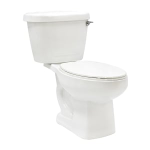 Canje Verde - Catálogo