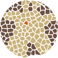 Charmhub | Deploy Giraph using Charmhub - The Open Operator Collection