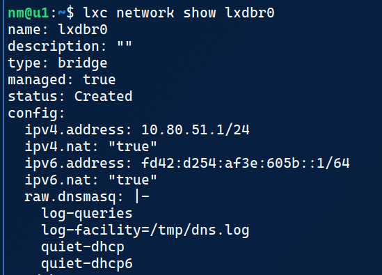 Generating allow-lists with DNS monitoring on LXD | Ubuntu
