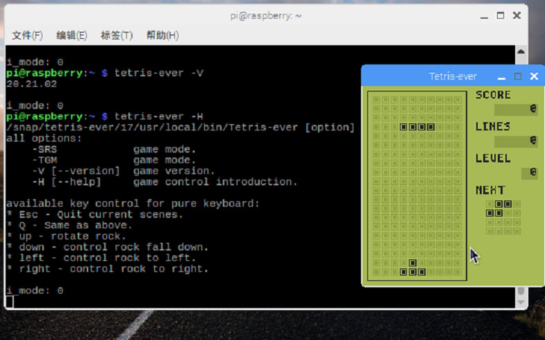 Install tetris-ever on Linux | Snap Store