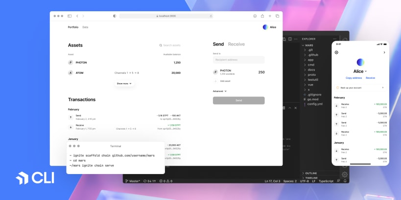 Install ignite on Linux | Snap Store