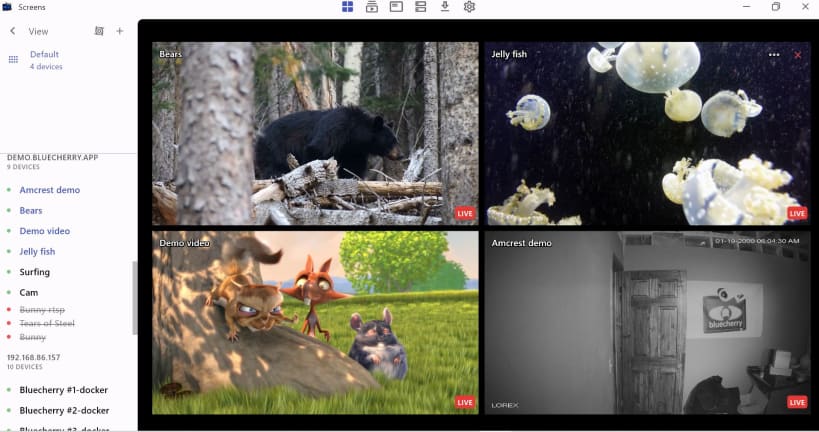Install bluecherry-client on Linux | Snap Store