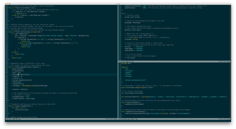 Install micro on Linux | Snap Store