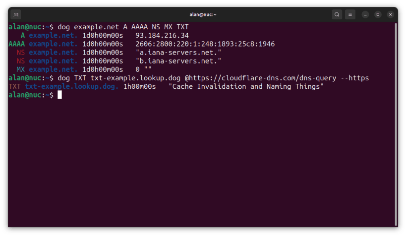 Install dog on Linux | Snap Store