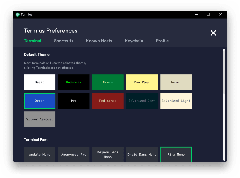 Install termius-beta on Ubuntu using the Snap Store | Snapcraft