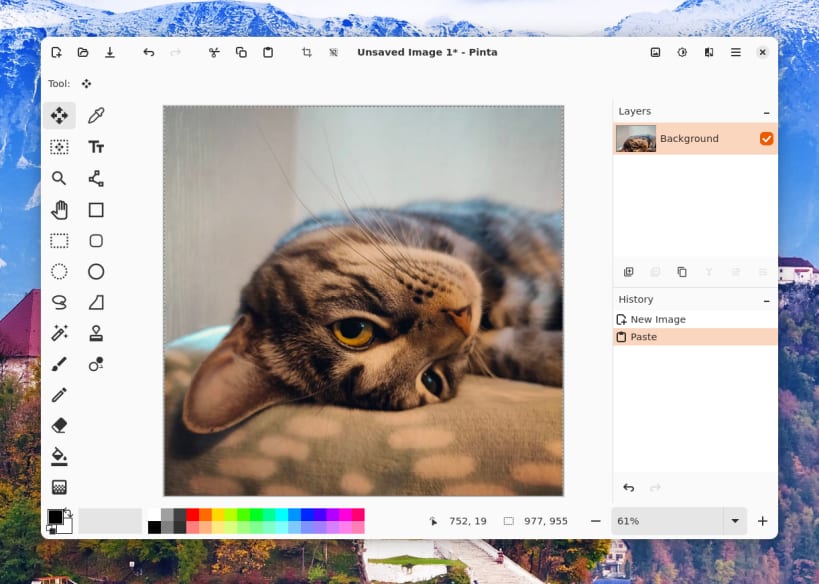 Install Pinta on Linux | Snap Store