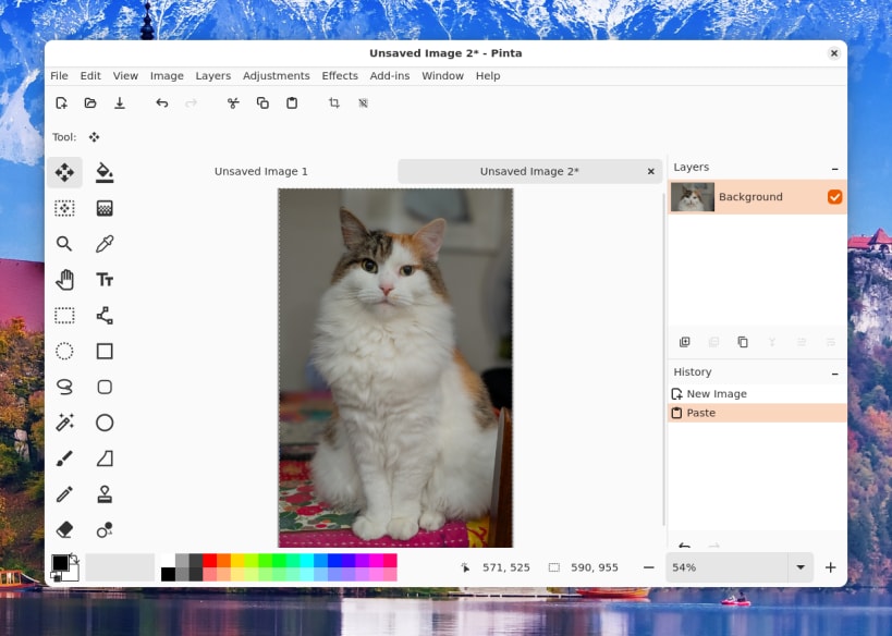 Install Pinta on Linux | Snap Store