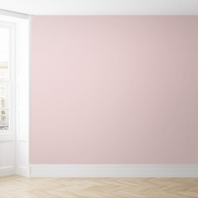 Bare interior wall mockup