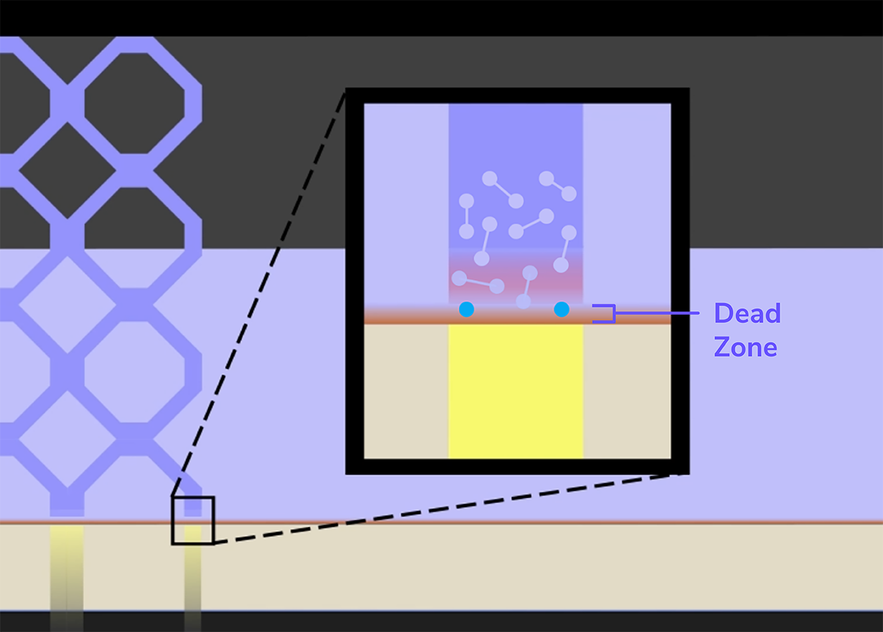 DLS Printer Dynamics - Process